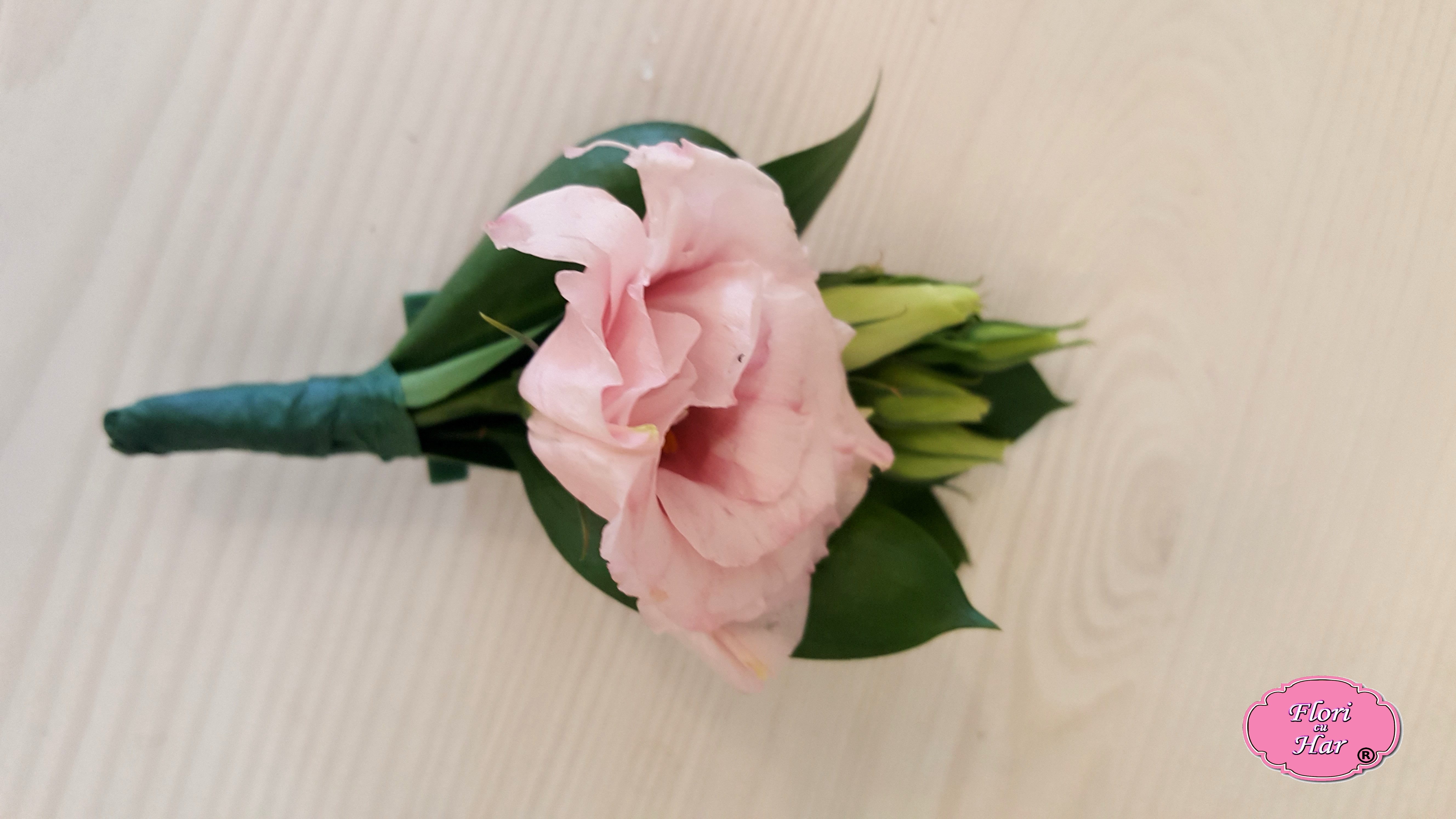 Cocarda C10 - Flori cu Har