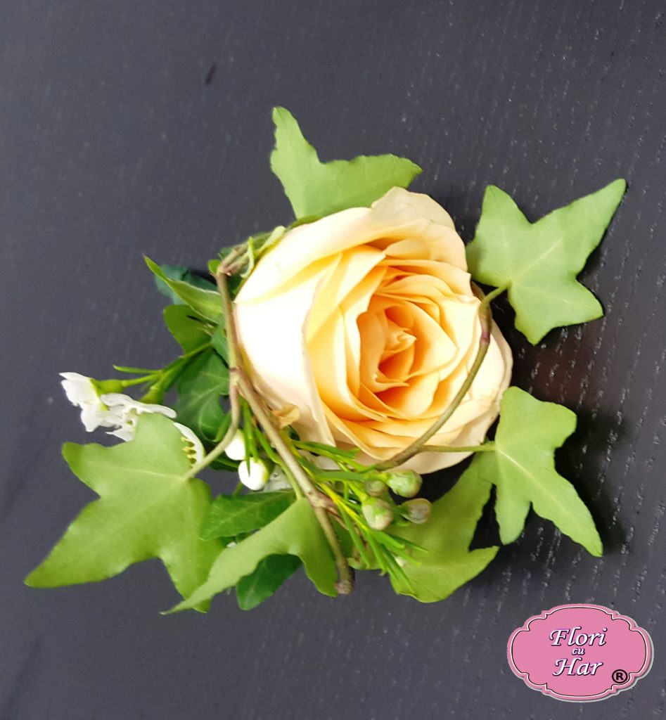 Cocarda C14 - Flori cu Har